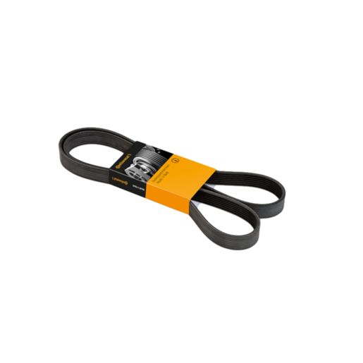 MV RIBBED BELT | Fan Belts | Engine Drive | Goldwagen