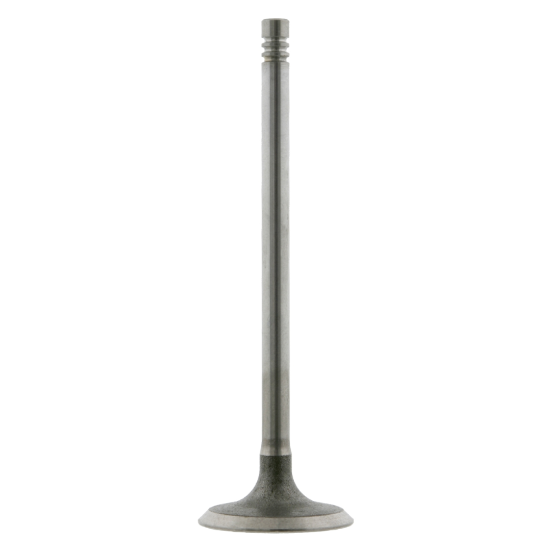 INTAKE VALVE | Valves Int/Exh | Engine | Goldwagen