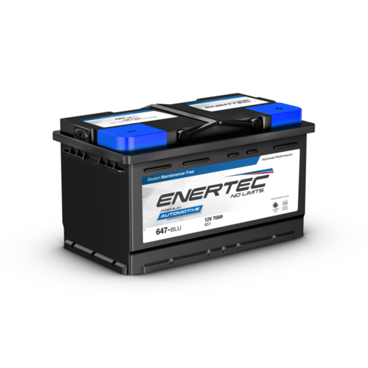 BATTERY 646 AGM 60AH | Batteries | Electrical | Goldwagen