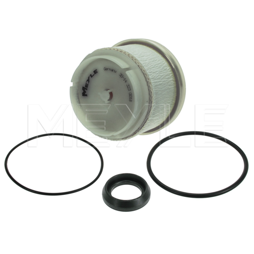 FUEL FILTER | Fuel Filters | Filters | Goldwagen